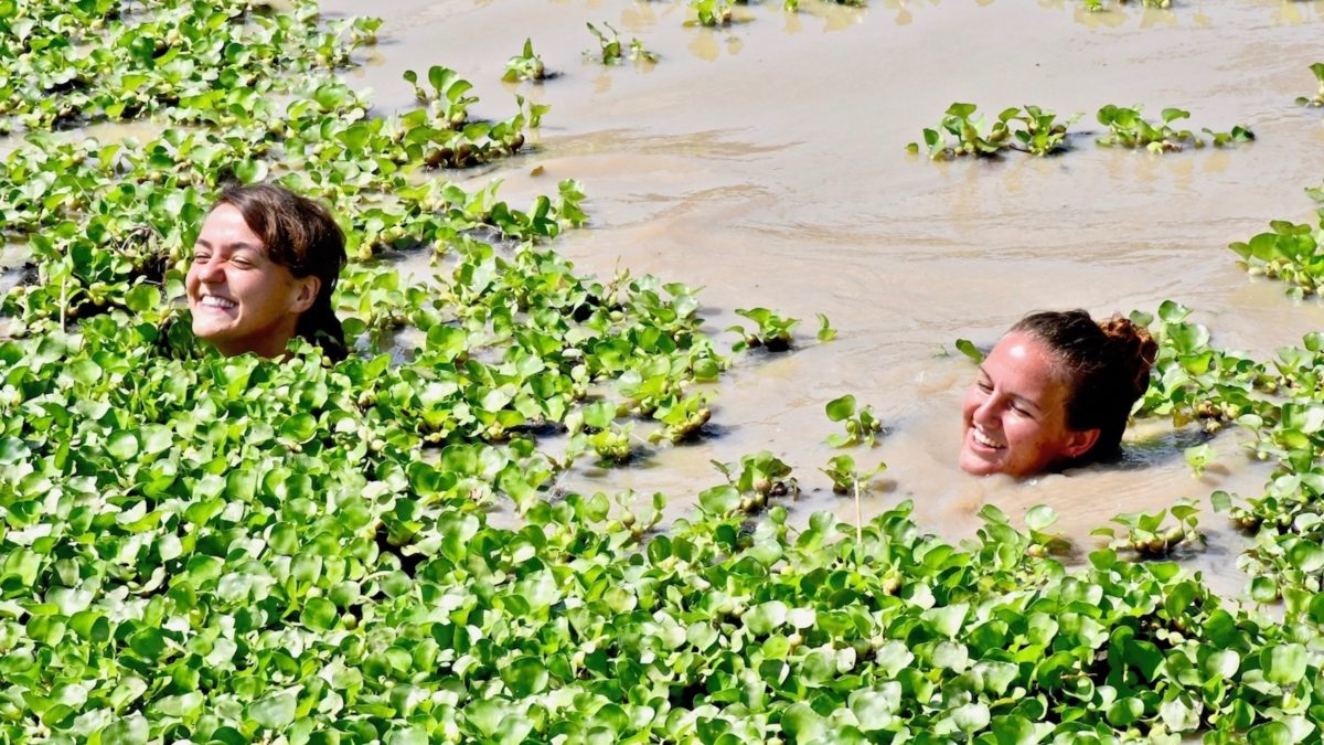 Lake Cleaning - Thai Elephant Refuge